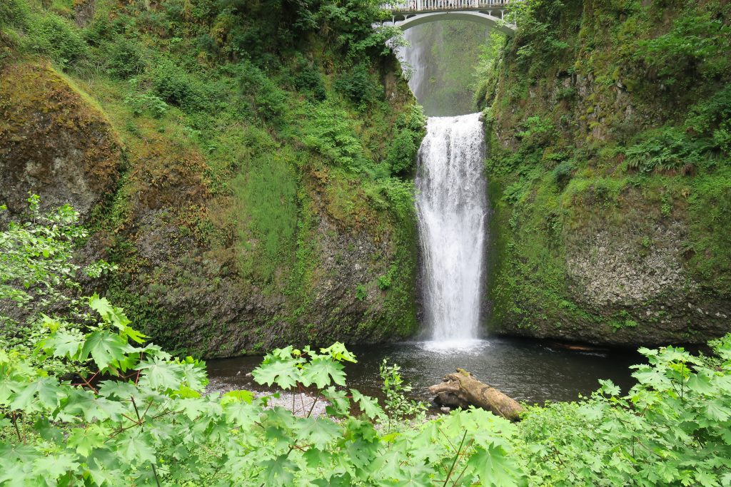 Multnomah Falls – Playground of the Pacific Northwest