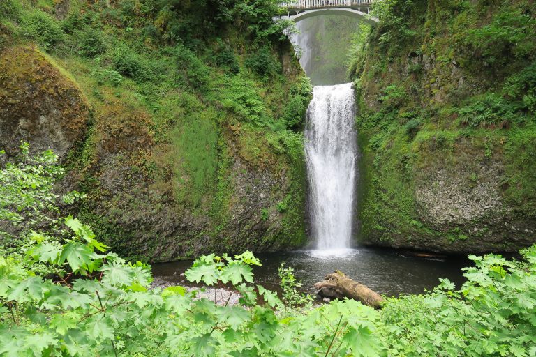 Multnomah Falls – Playground of the Pacific Northwest
