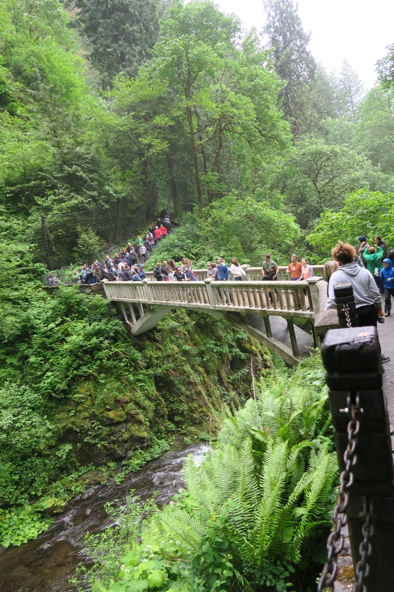 Multnomah Falls – Playground of the Pacific Northwest